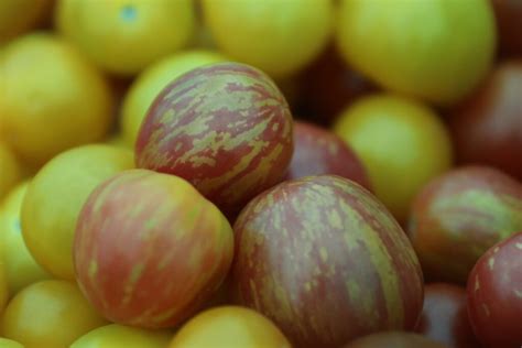 “Алтан намар 2023” үзэсгэлэн худалдаа Баянзүрх дүүрэгт нээлтээ хийлээ