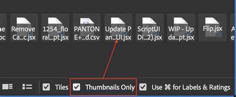 Solved Bridge 2023 Missing Filename In Filmstrip Adobe Community