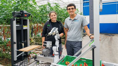 Agricultural Innovation At Beerstecher Ag How Eths Picking Robot Is Reshaping Greenhouse Work Agricultural Innovation At Beerstecher Ag How Eths Picking Robot Is Reshaping Greenhouse Work