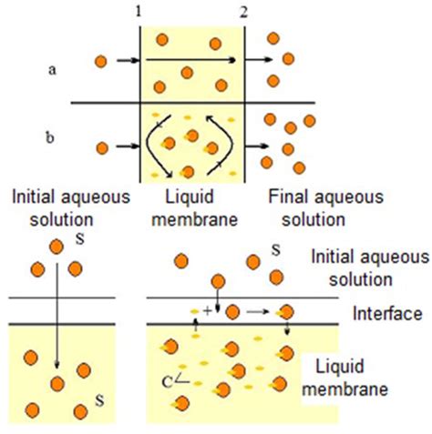 Membranes Free Full Text Applications Of Ionic Liquids In Carboxylic Acids Separation