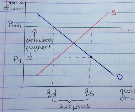 Unit 2 Chapter 6 Economics Flashcards Quizlet