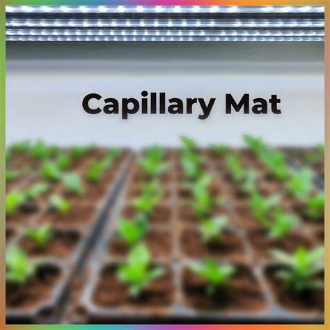 What Is A Capillary Mat System Types Pros And Cons [everything You Must Know