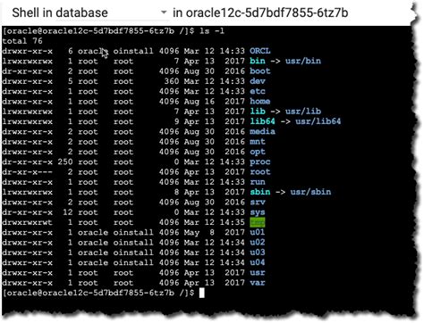 Running Oracle 12c In Kubernetes With Minikube And Virtualbox Ron Ekins Oracle Technology