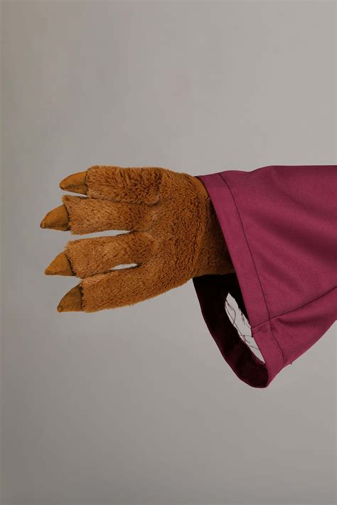 Teenage Mutant Ninja Turtles Master Splinter Mens Costume