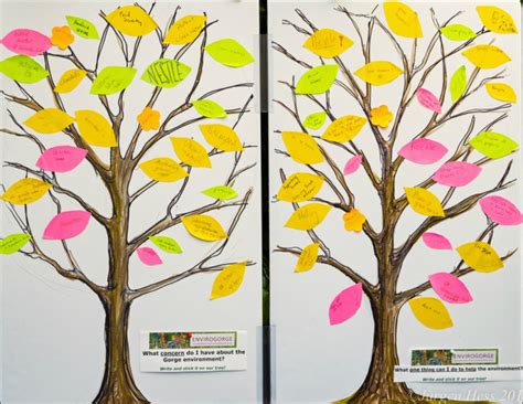 Tree Of Questions Videos With Answers Columbia Insight