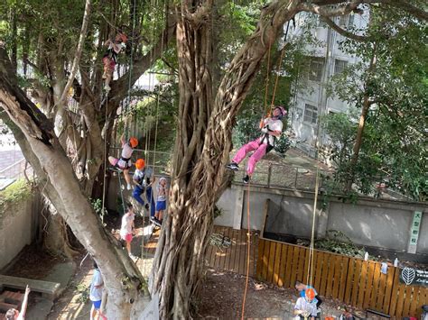 新北福和國中攜手學區國小推動在地就學 從攀樹探索學卓越領導力 勁報 Power News