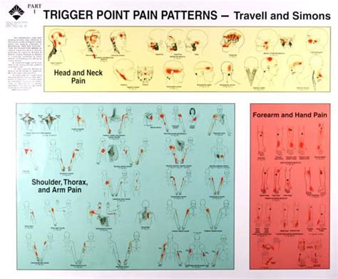 How To Install Navigraph Charts Nycjza