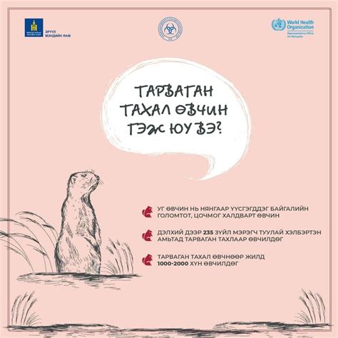 Өвөрхангай Аймгийн Зоонозын Өвчин Судлалын Төв