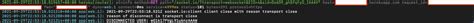 Javascript Client Automatically Disconnecting In Long Node