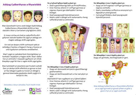 Relationships Sexuality Education Ysgolcynfran