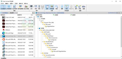 total uninstall 软件卸载工具 v7 6 1 677 中文专业破解版 电脑软件 红尘资源网
