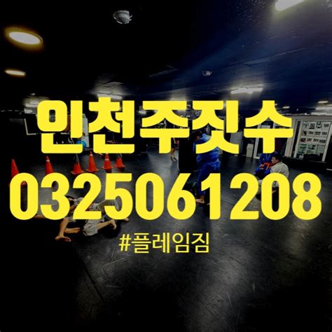 인천 부천 부평 주짓수 레슬링 가을에 하면 좋은 이유는 산곡동 청천동 부평동 십정동 부개동 삼산동 갈산동 효성동 네이버 블로그