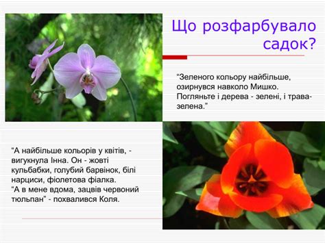 Презентація Царство квітів