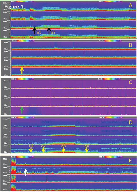 Color Density Spectral Array Patterns A Changeable Type Of Color Download Scientific Diagram