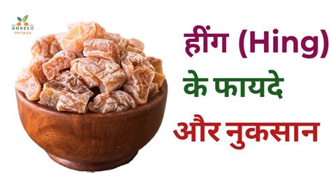 हींग Hing के 8 फायदे और उपयोग सेहत का खजाना