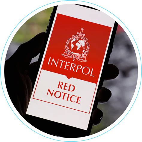 Successful Cases And Experience Of Interpol Lawyers