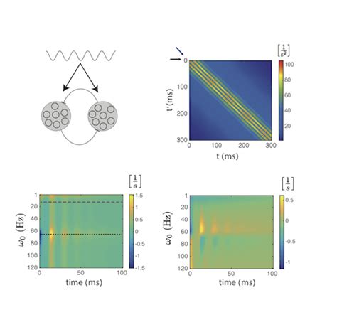 Press Theory Of Nonstationary Hawkes Processes Brain Circle Uk