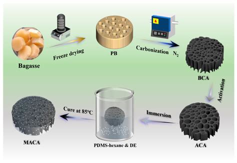 Bio Based Porous Aerogel With Bionic Structure And Hydrophobic Polymer