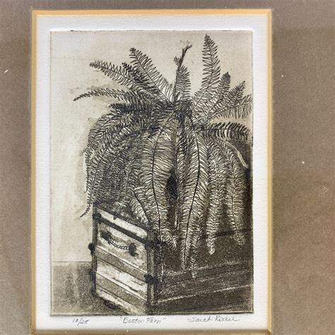 Sarah Rishel Etching Print Boston Fern 1025 Etsy