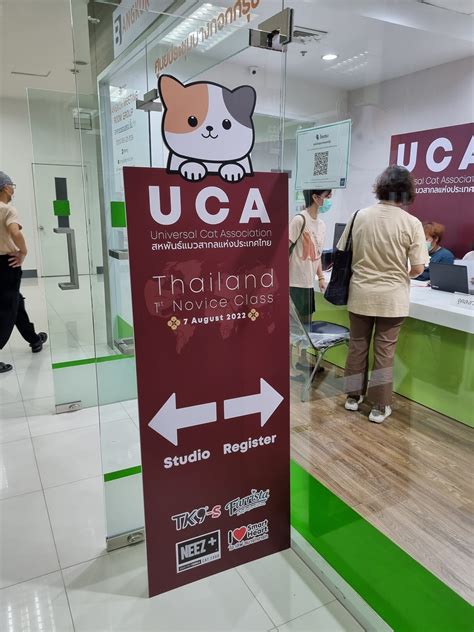 Thailand Bangkok Uca Verificaton Show Bluecrestcattery