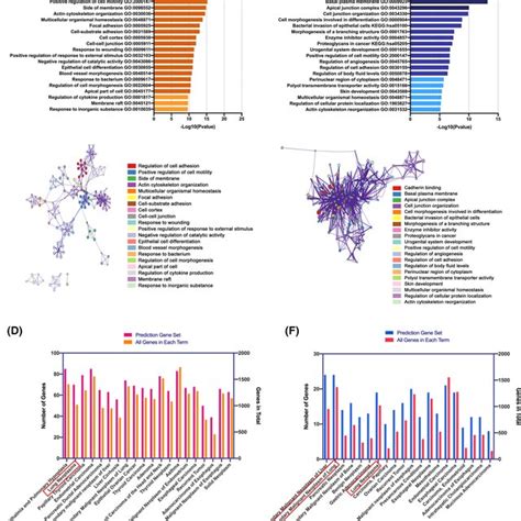 Single‐cell Transcriptomic Atlas Of 29 Samples From Normal Lung Early Download Scientific
