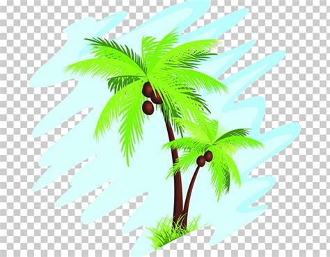 Arecaceae Coconut Tree PNG Clipart Arecaceae Arecales Asian Palmyra Palm Branch Coconut