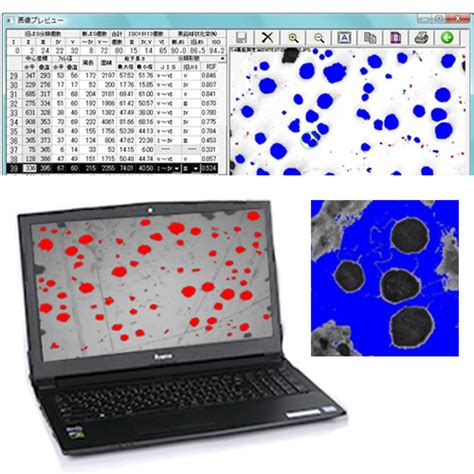 Graphite Spheroidization Ratio Measurement Visual Inspection