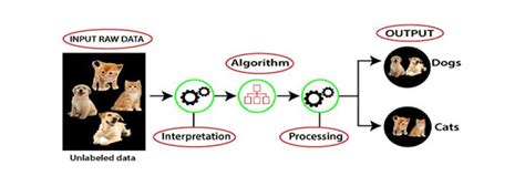 Unsupervised Machine Learning Types Advantages And Disadvantages Of Unsupervised Learning