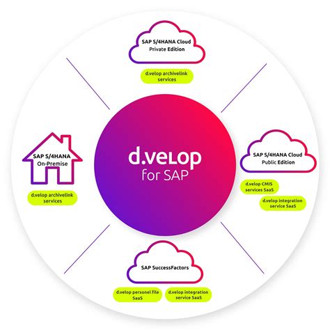 SAP S HANA Cloud Overview Secure Archiving With D Velop