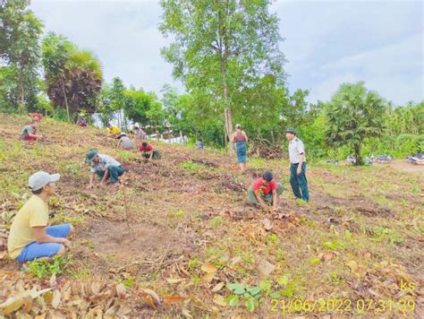ကလိန်အောင်မြို့ ရာဖူးကျေးရွာ၌ မိုးရာသီ အရိပ်ရသစ်ပင်စိုက်ပျိုးပွဲတော်ကျင်းပ Information And
