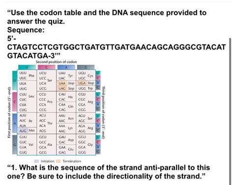 Solved Use The Codon Table And The DNA Sequence Provided To Chegg Com