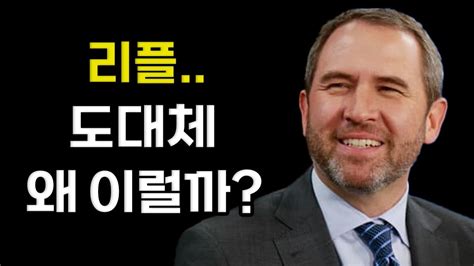 리플 Ceo는 인내심 폭발 Ipo 찾아 떠난다 Youtube