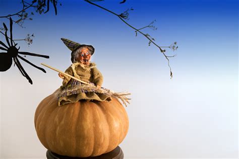 마녀는 호박 위에 앉아 있다 창조적 인 할로윈 구성 카드 또는 포스터 파란색 그라데이션 라이트 배경입니다 할로윈 배경 및 디자인 개념 10월에 대한 스톡 사진 및 기타