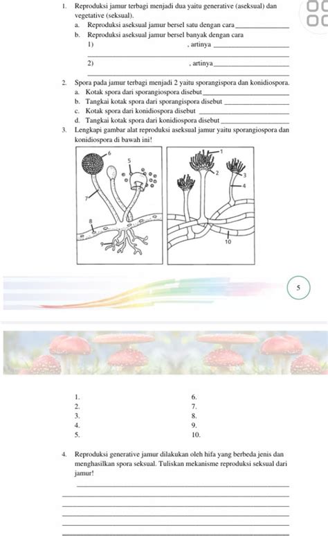 1 Reproduksi Jamur Terbagi Menjadi Dua Yaitu Studyx