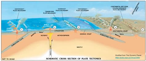 Solved Which Type Of Magma Is Most Commonly Erupted At The