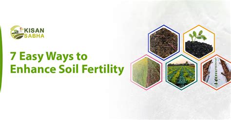 7 Easy Ways To Enhance Soil Fertility