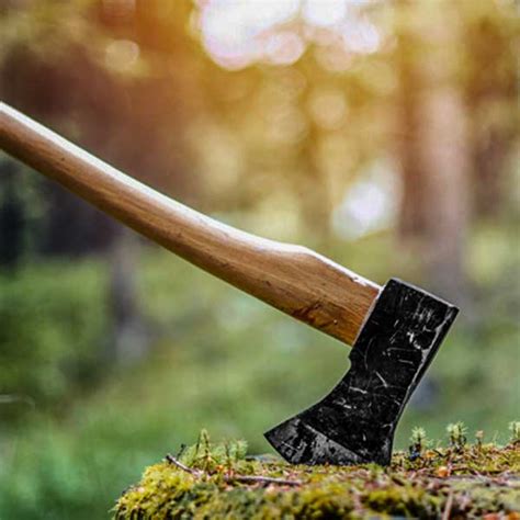 Gartenwerkzeuge And Gartengeräte Kaufen Bei Pflanzen Kölle