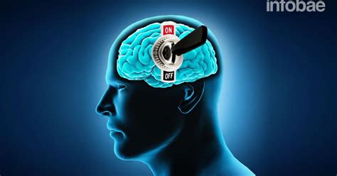 La Ciencia Encontró Un Interruptor En El Cerebro Que Apaga El Hambre Infobae