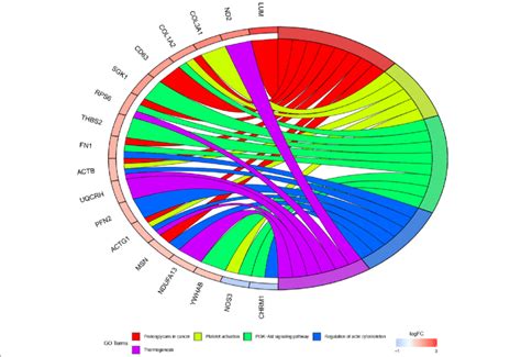 Kegg Chord Diagram Of Degs Download Scientific Diagram