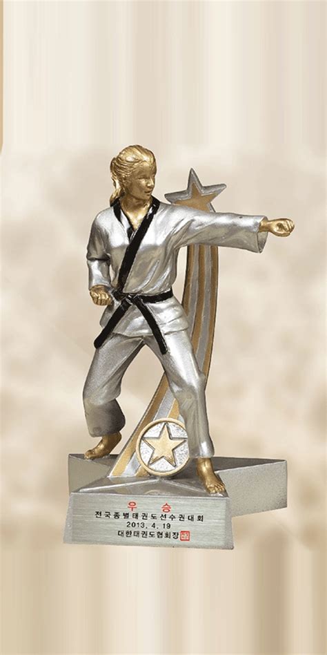 태권도 트로피ss282 5 상패 감사패 커스텀 상패 트로피