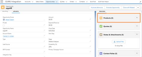 Promoting Opportunities As Ar Invoices In Sage Intacct Through Gumu™ Tips And