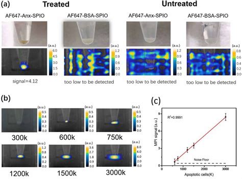 Mpi Of Apoptotic Cells In Vitro A Cells Treated With Etoposide