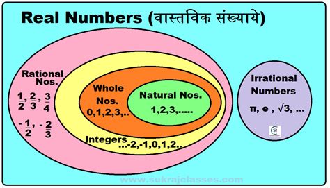 Types Of Numbers Number System SukRaj Classes