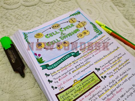 Cell Cycle And Cell Division Mitosis And Meiosis I And Ii Aesthetic