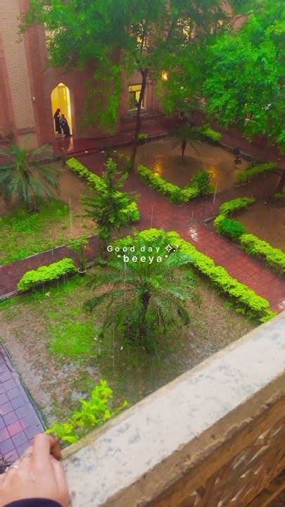 Mini University Vlog University Minivlog Vlog Youtubeshorts Shorts Shortvideo Nature