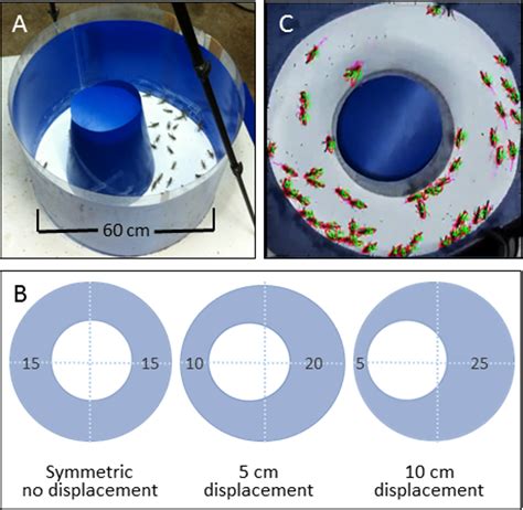 The Effect Of Changing Topography On The Coordinated Marching Of Locust Nymphs PeerJ