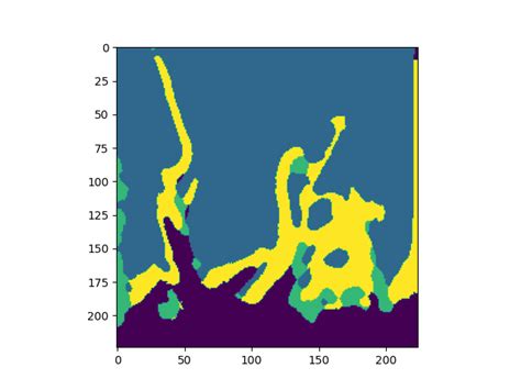 Reproducing A Deep Learning Paper Wnet