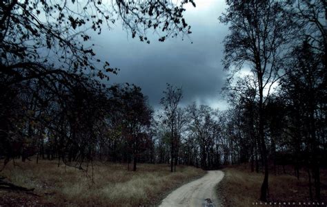 The Untouched Photograph By Shubhansh Shukla Fine Art America