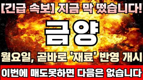 금양 주가전망 자회사 ‘에스엠랩 연내 코스닥 상장 가능성 얼마나 되나 성사만 되면 기업가치 5~10배 폭증 유력 400억 자금 대여로 Ipo 길 뚫어낸다 금양