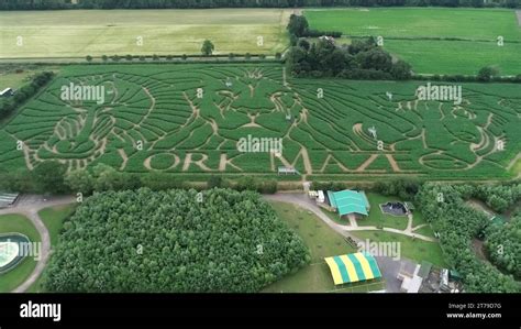 Lion King Simba Disney Stock Videos And Footage Hd And 4k Video Clips Alamy